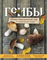 Книга "Грибы : иллюстрированный гид по популярным видам"