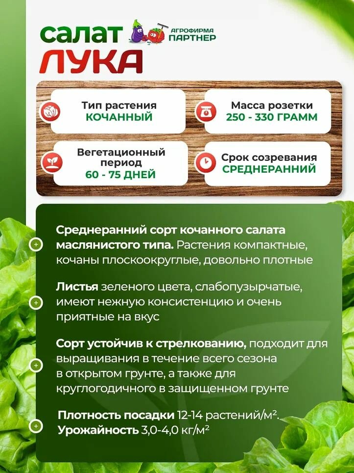 Семена кочанного салата Лука — фото 1