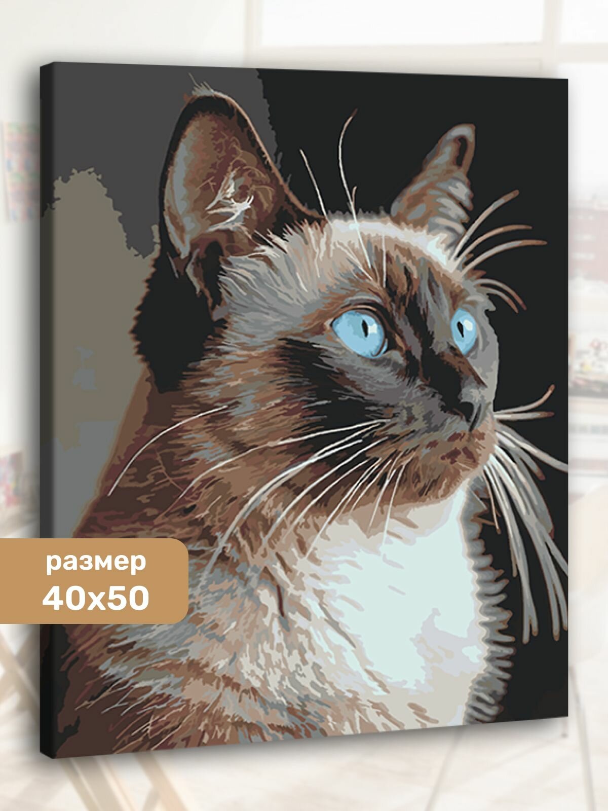 Картина по номерам на холсте Сиамский кот