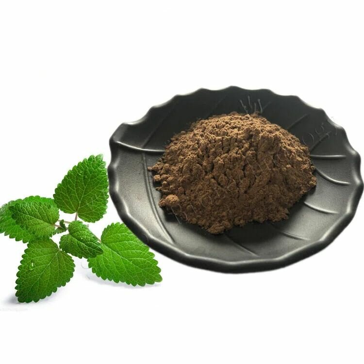 Экстракт цветков мелиссы 50:1 Мелисса лимонная 200 г в пакетике ( Balm Flower Extract 50:1 )