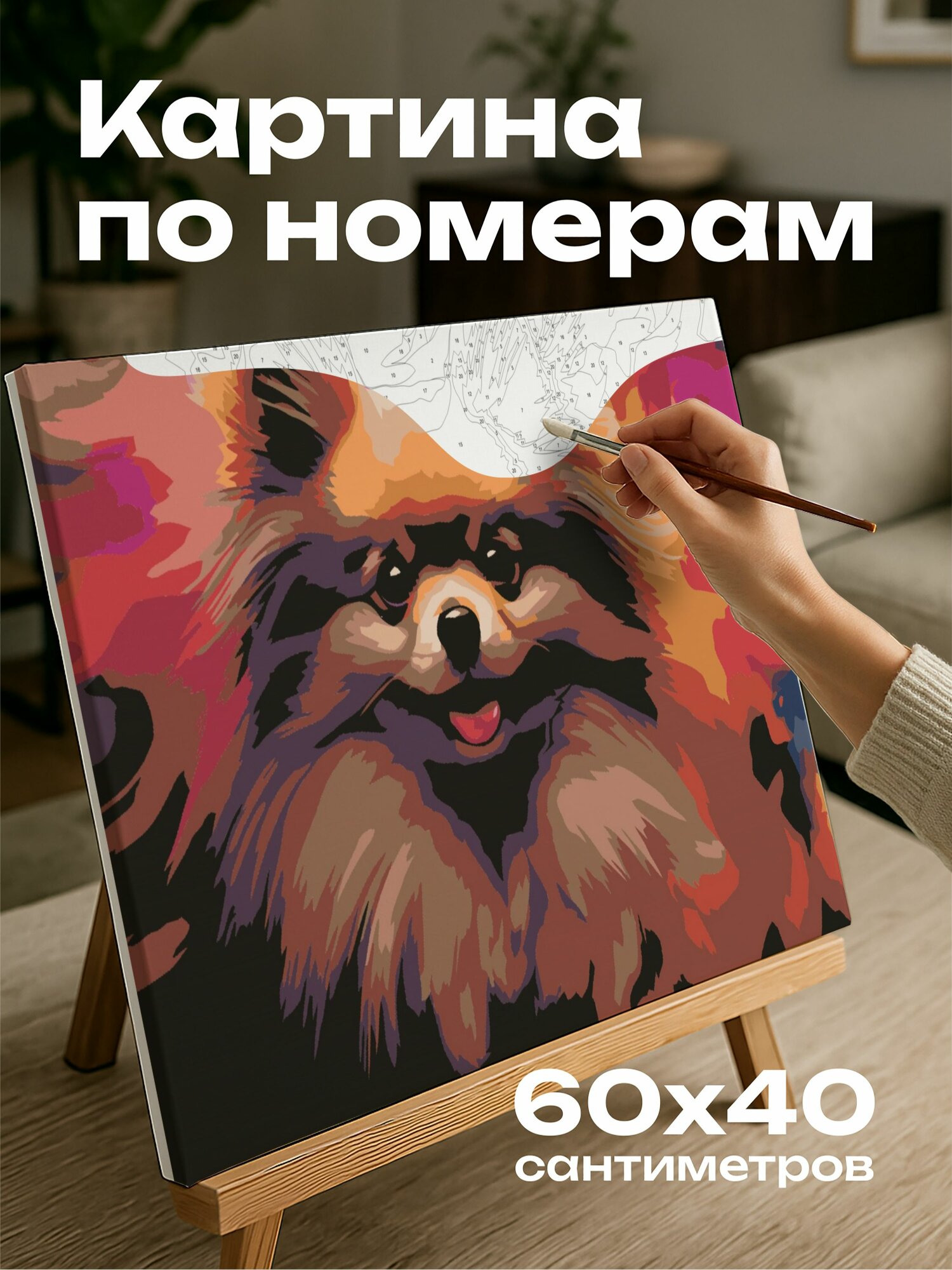 Картина по номерам 60x40 см, шпиц, шерсть, фотография, развевающаяся, роскошная, красота, пряди