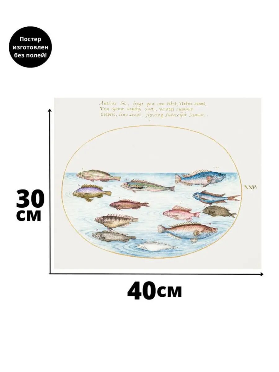 Постер в морском стиле ретро рисунок, 40 x 30 см, бумага, без рамы