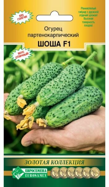 Семена Огурец "Шоша F1" раннеспелый "Евросемена"