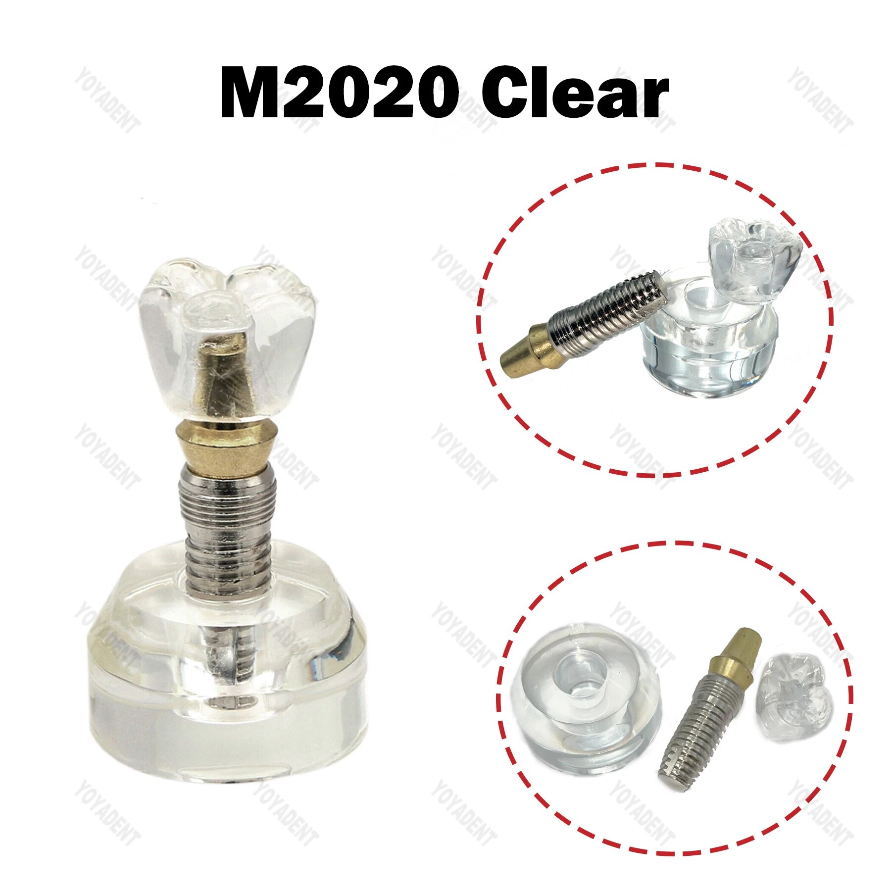 Съемные модели зубов YOYADENT из смолы M2020C