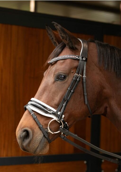Уздечка для лошади Chique размер Full цвет черный Harry's Horse