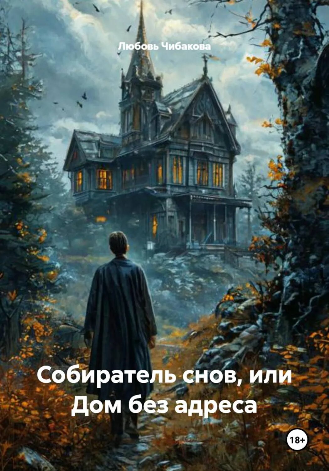 Собиратель снов, или Дом без адреса [Цифровая книга]