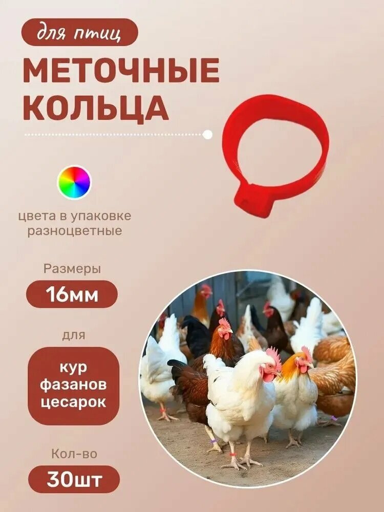 50 шт/16 мм/Маркировочные кольца для птиц / Прочные пластиковые кольца