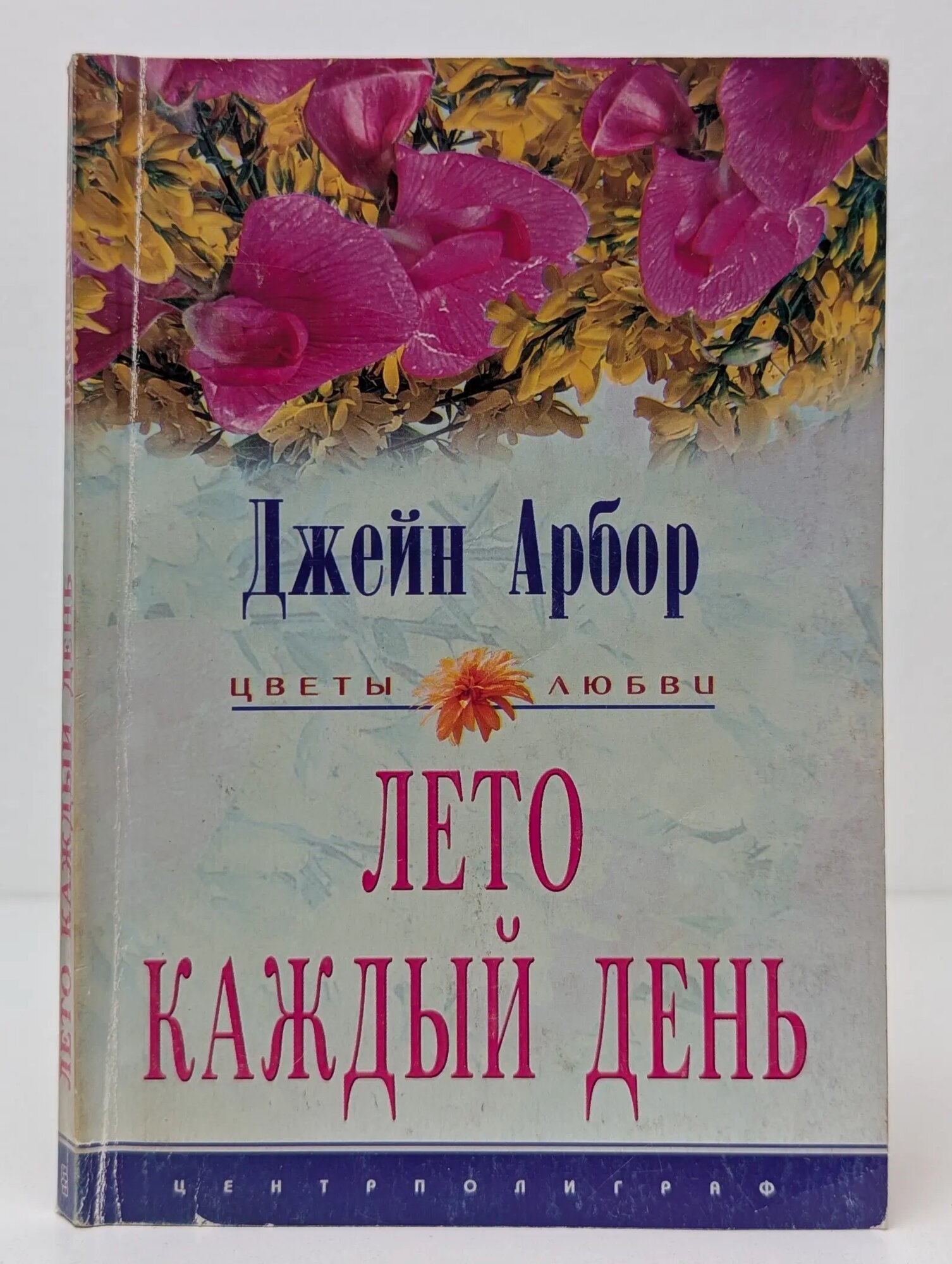 Лето каждый день Арбор Джейн 2005