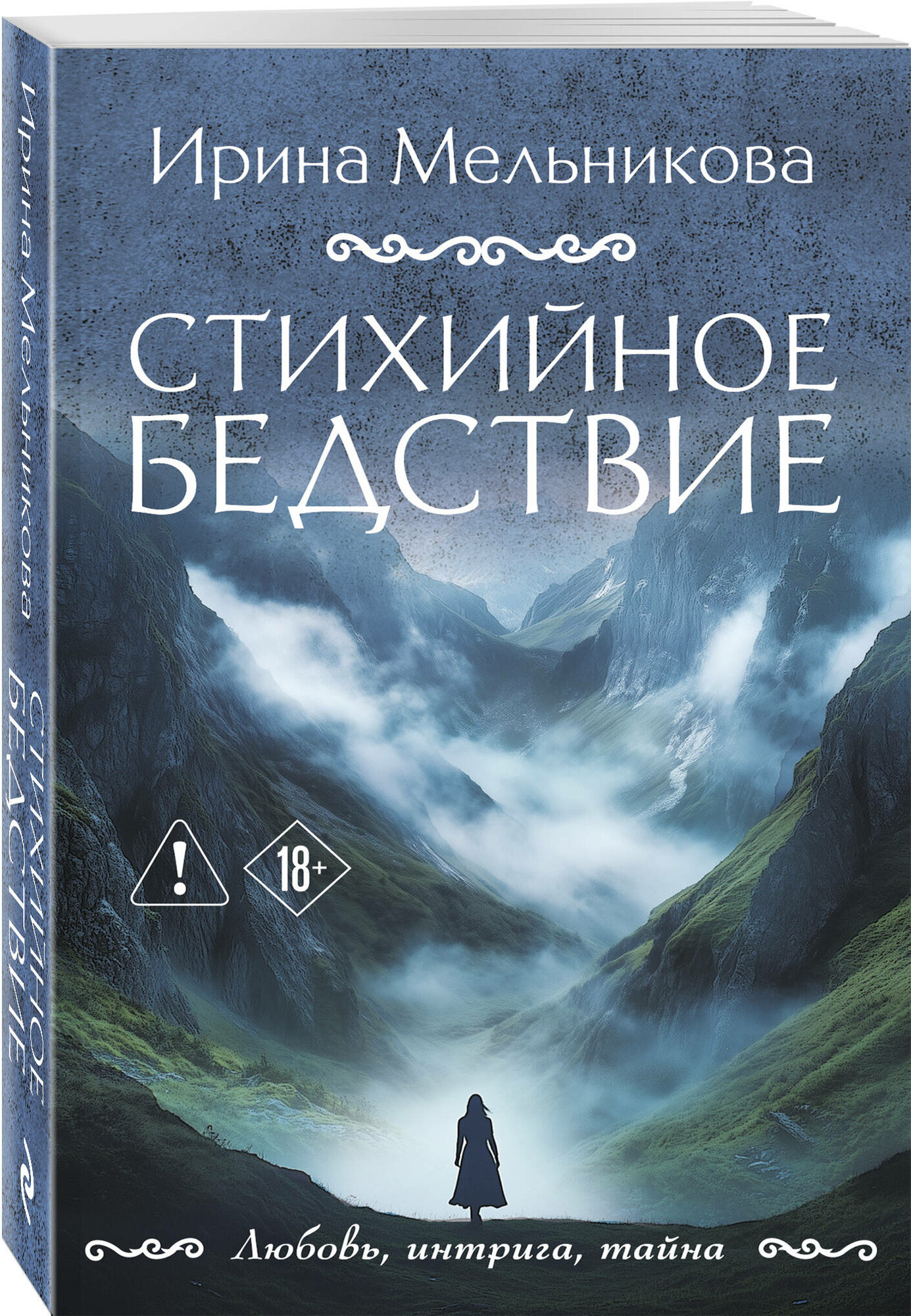 Мельникова И. А. Стихийное бедствие