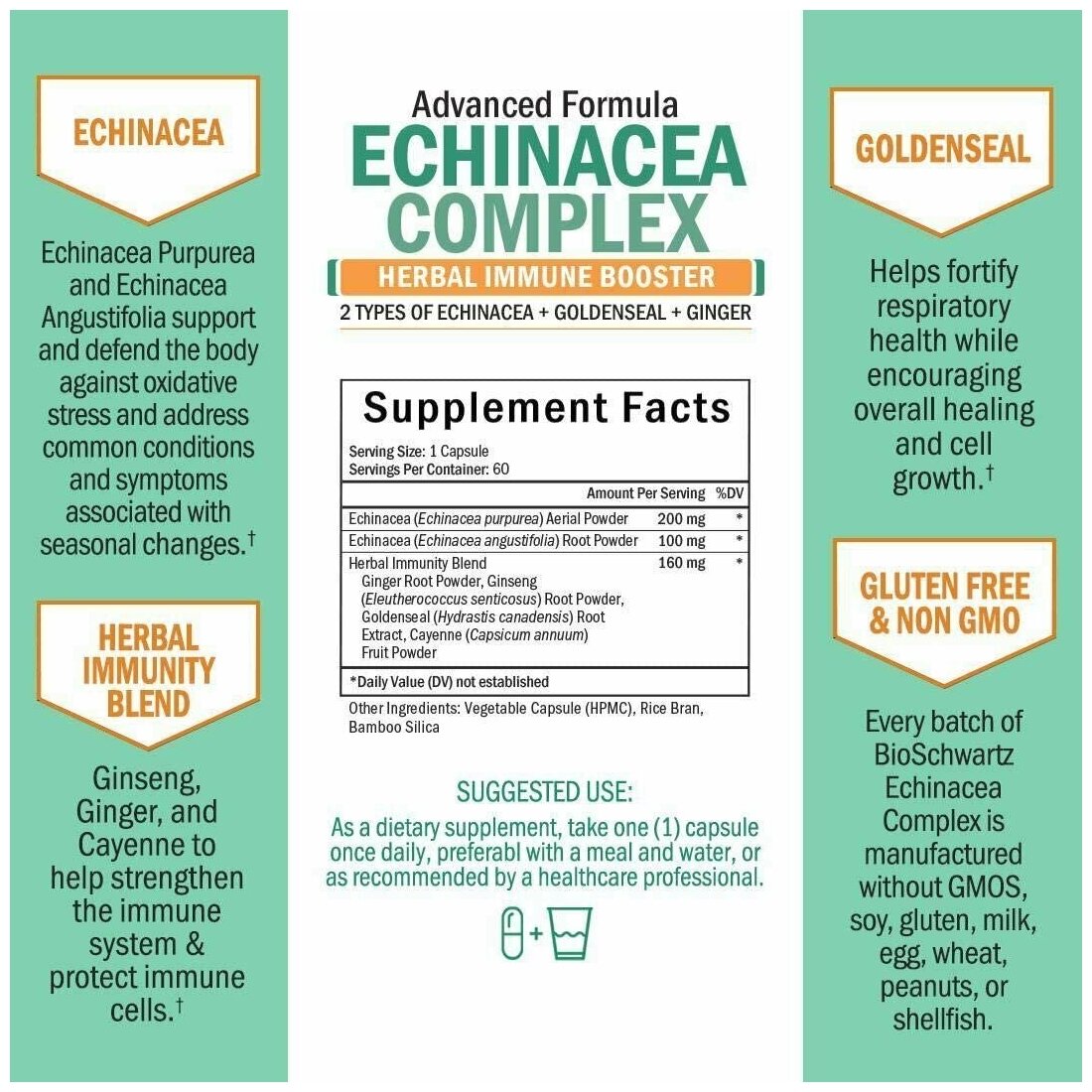 Пищевая добавка BioSchwartz Echinacea, комплекс для иммунитета, капсулы, имбирь, 60 штук