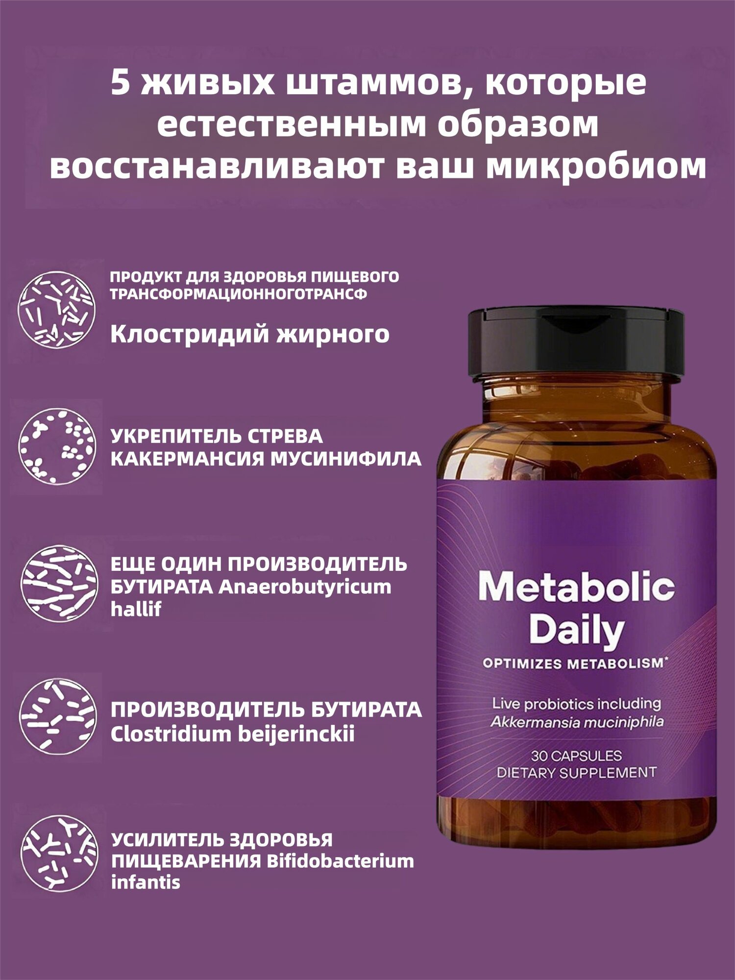 Metabolic Daily Пробиотики для метаболизма с Akkermansia muciniphila Оптимизация обмена веществ, снижение тяги к сладкому 5 живых штаммов 30 капсул