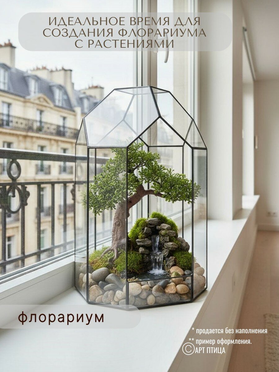 Флорариум Арт-Птица "Бонсай", настольный, геометрический, прозрачный, 27 см х 16 см х 16 см