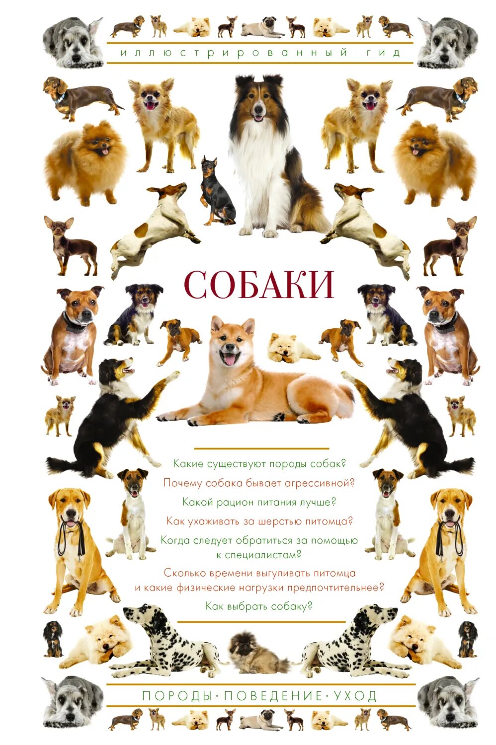 Собаки. Иллюстрированный гид [Цифровая книга]