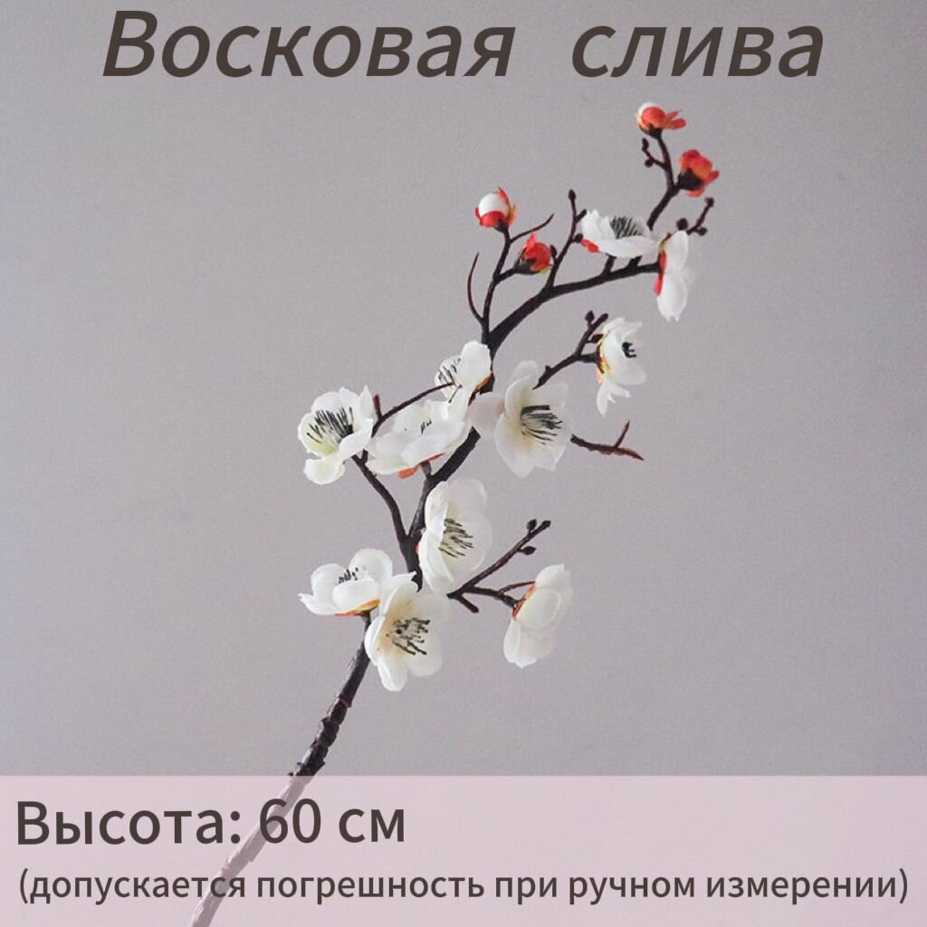 Ветка восковой сливы (Зимняя слива) для декора интерьера (1 шт)