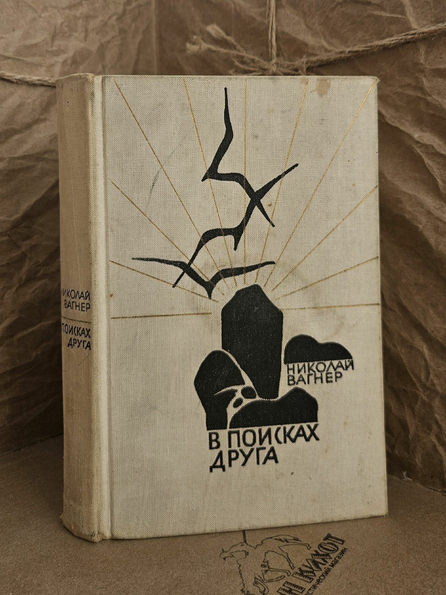 В поисках друга