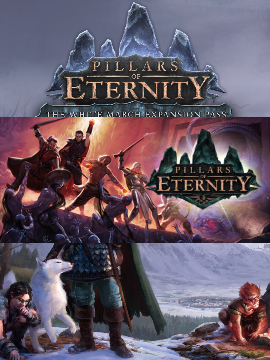 Игра Pillars of Eternity - The White March Expansion Pass
