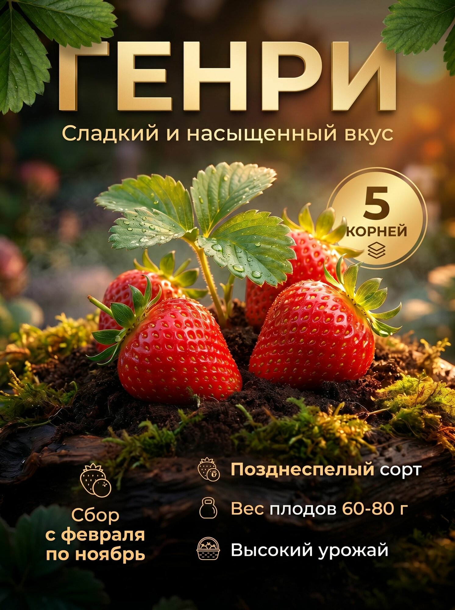 Саженцы клубники генри 5-шт