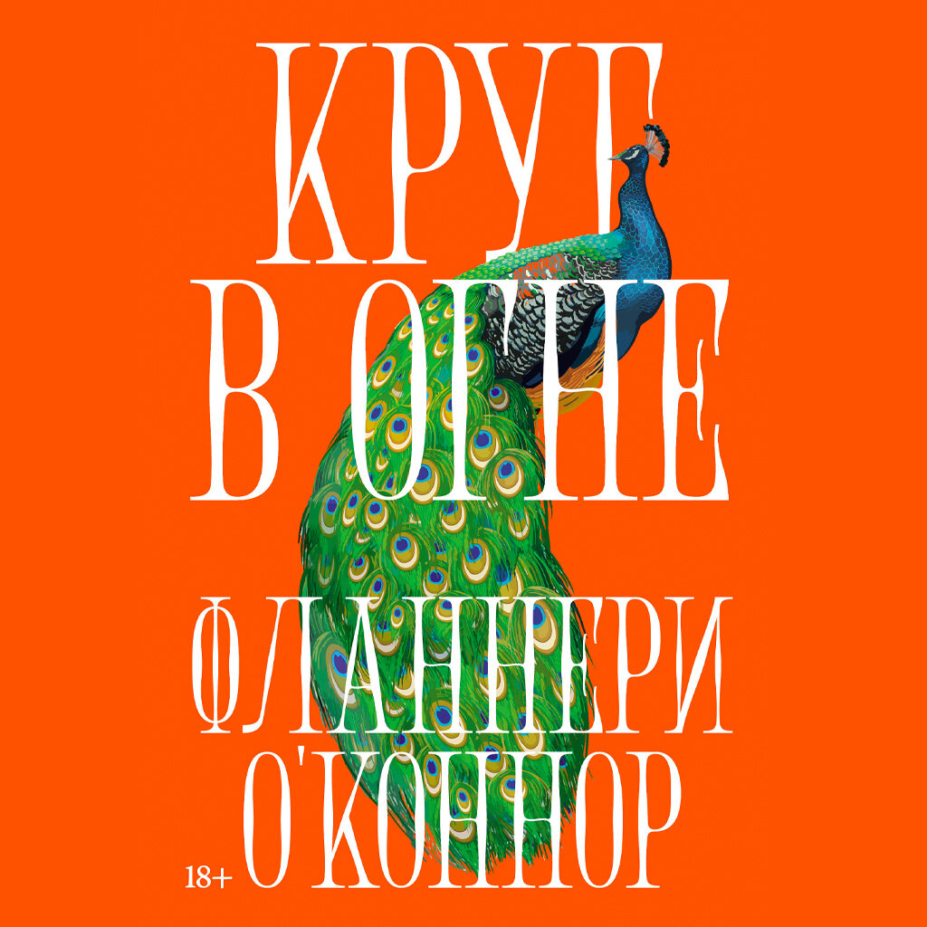 Круг в огне: Рассказы (аудиокнига)