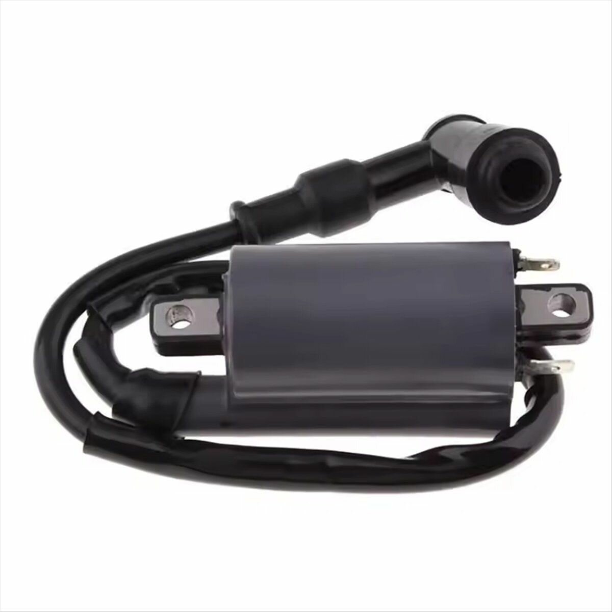 Катушка зажигания подходит для двигателя Buyang 260 260cc 300cc D300 G300