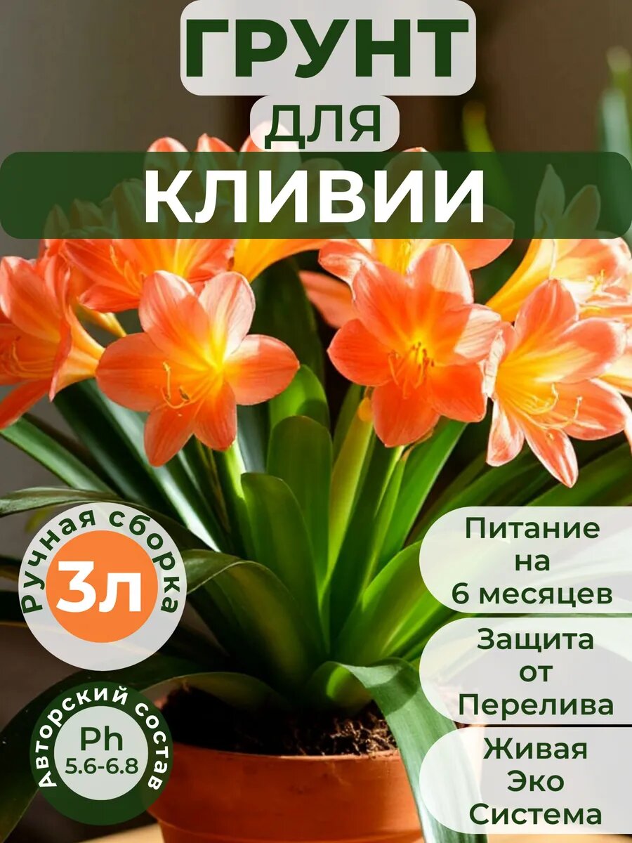 Готовый авторский грунт для Кливии премиум 3 литра