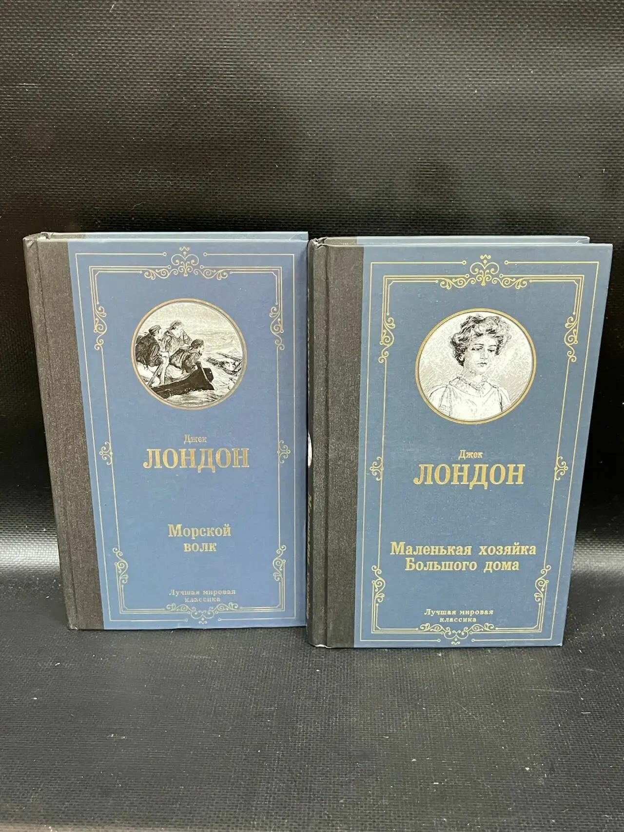 Морской волк. Маленькая хозяйка Большого дома. Комплект из 2 книг