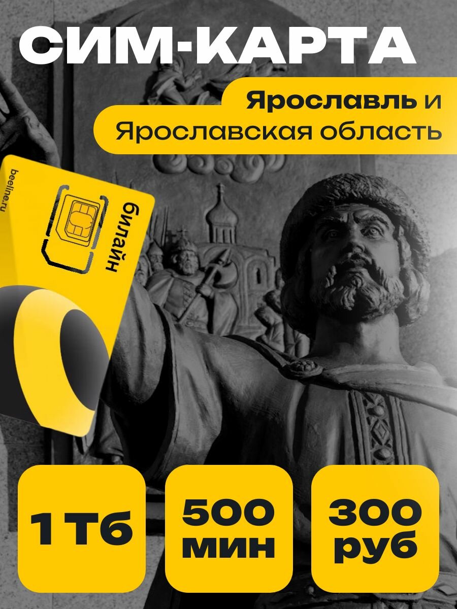 Сим-карта Билайн тариф Эксклюзивный Ярославская область 1000 Гб + 500 минут за 300 руб.