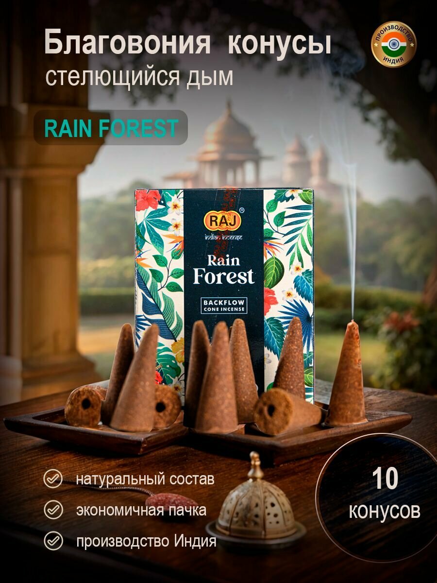 Благовония Ganga Store конусы стелющийся дым Rain Forest