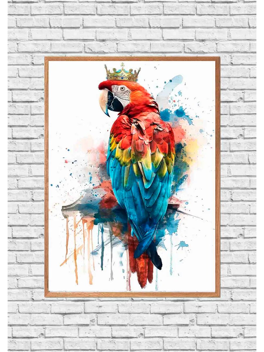 Птица Ара король Англии 0, Плакат 30x42см