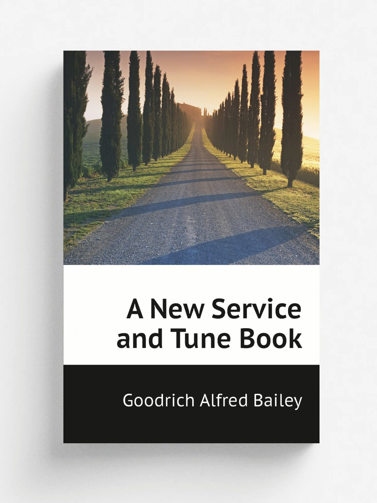 A New Service and Tune Book | Goodrich Alfred Bailey | Репринт
