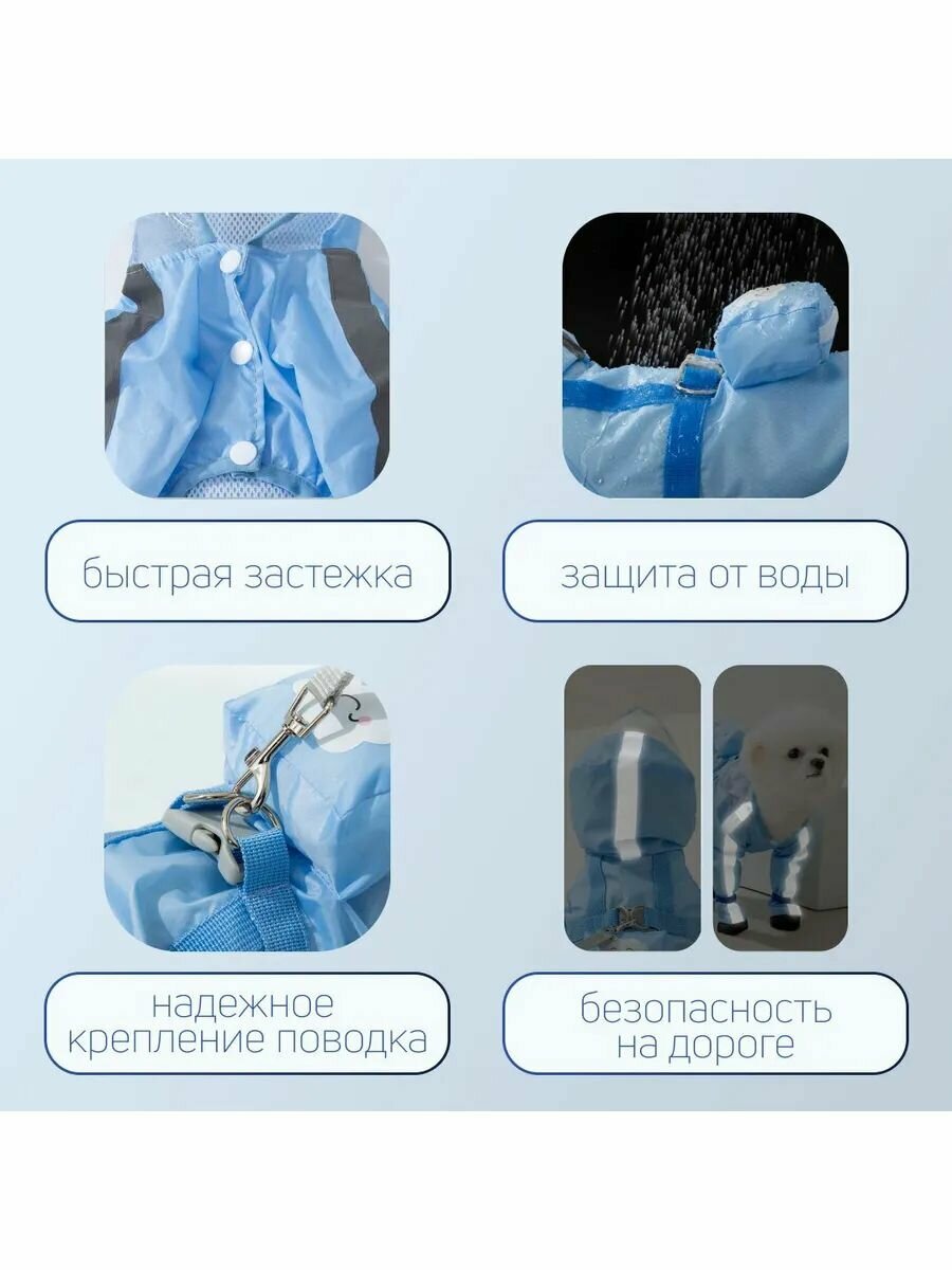 Комбинезон-дождевик для собак с ботинками — фото 1