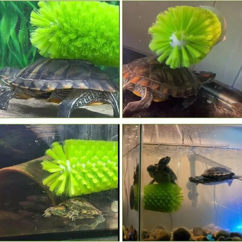 Зеленая щетка для чистки панциря черепах с присоской - отшелушивающий уход за спиной аквариумных черепах