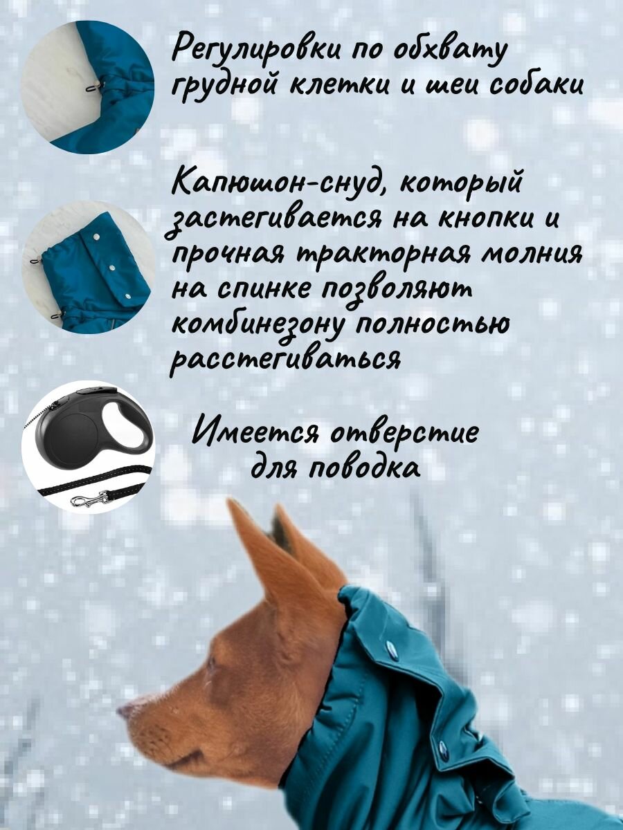 Одежда для животных — фото 1