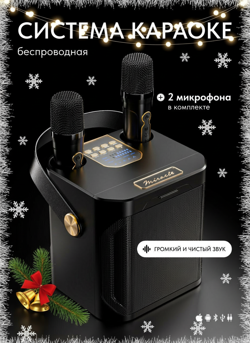 Караоке система, Колонка с микрофонами, Караоке система с двумя микрофонами