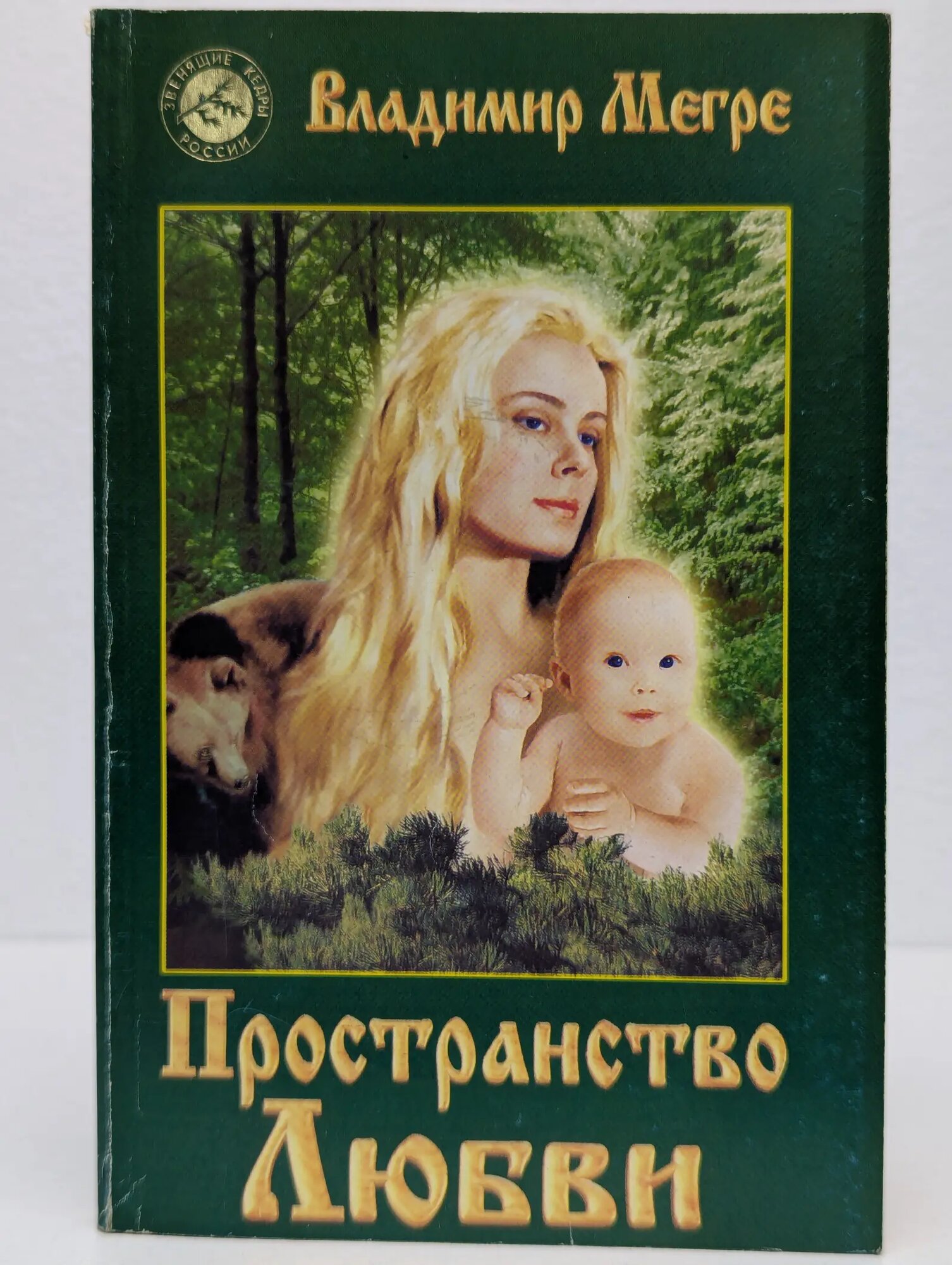 Пространство любви Мегре Владимир Николаевич 2007
