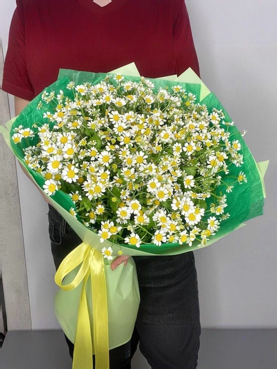 25 полевых ромашек