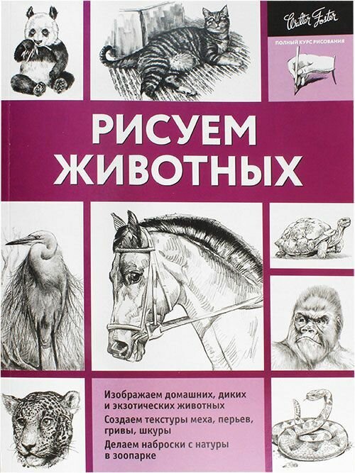 Рисуем животных