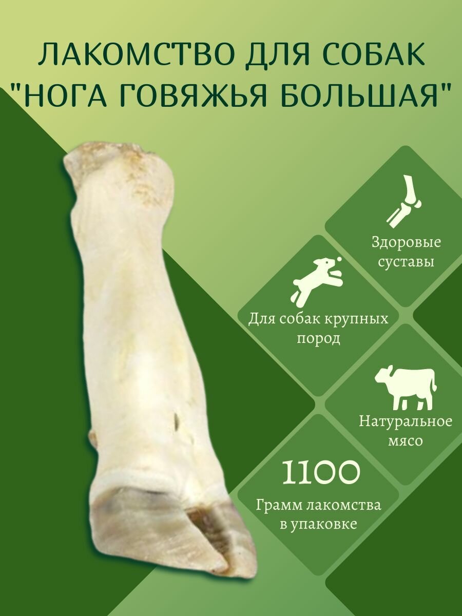 Лакомство для собак крупных пород "Нога говяжья большая" (мягкая упаковка), TitBit, 1,1 кг