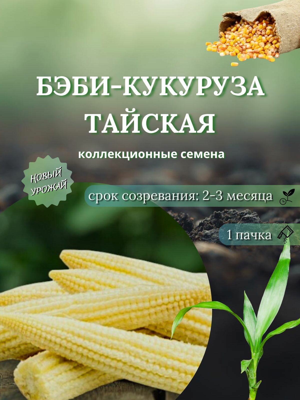 Бэби-Кукуруза (Тайская), коллекционные семена, 10 шт.