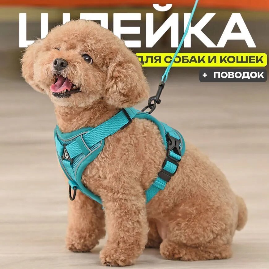 Шлейка