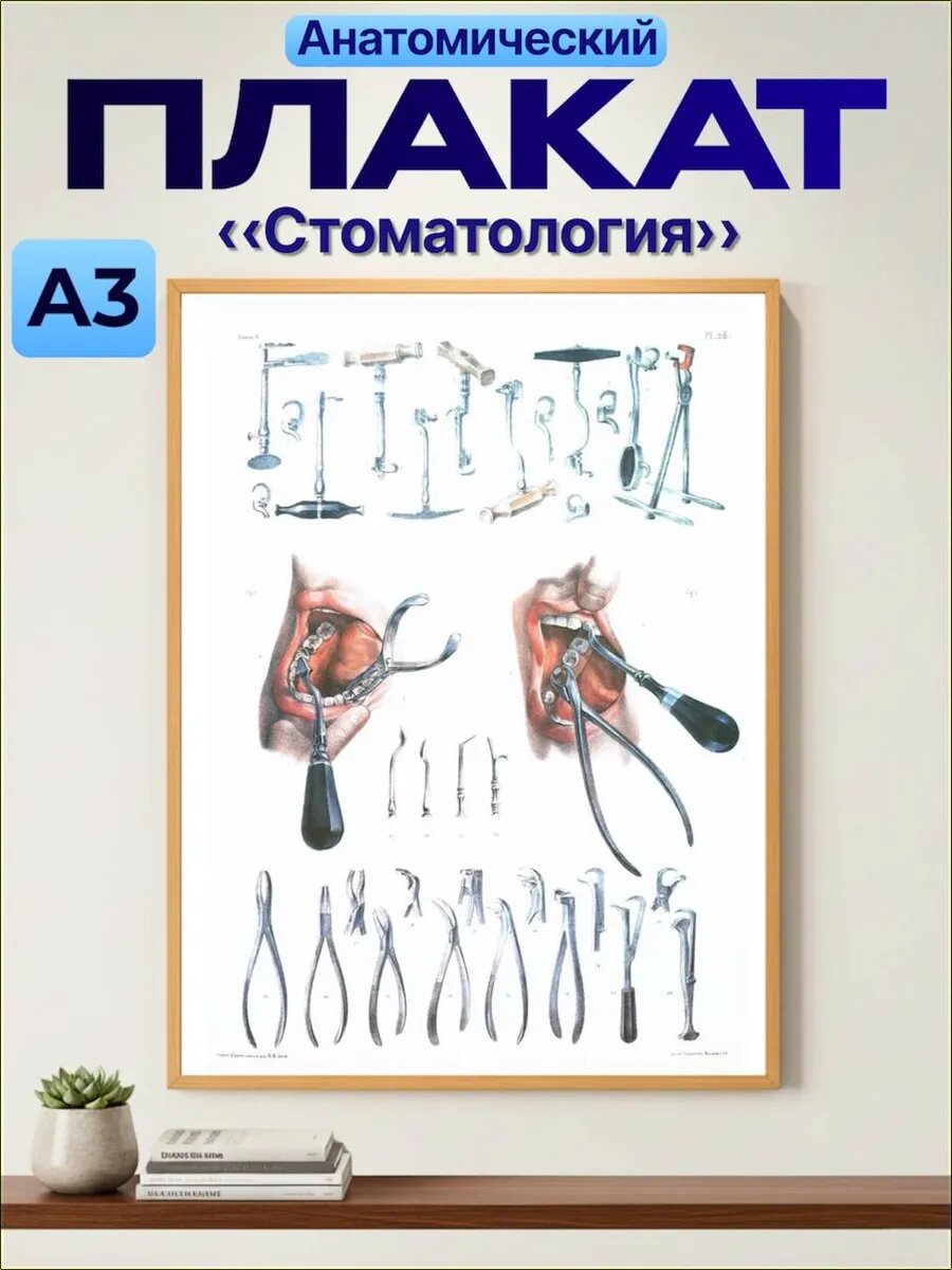 Постер медицинский, стоматология, А3 анатомия, хирургия