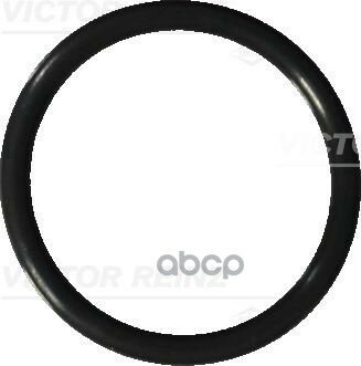 Прокладка сливной пробки - 18x22x2mm Opel Astra/Corsa/Vectra all 93 VICTOR REINZ арт. 407604120