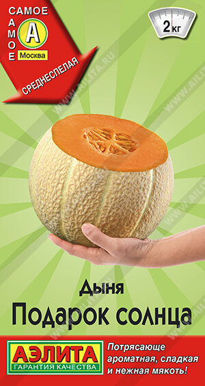 Дыня Подарок солнца