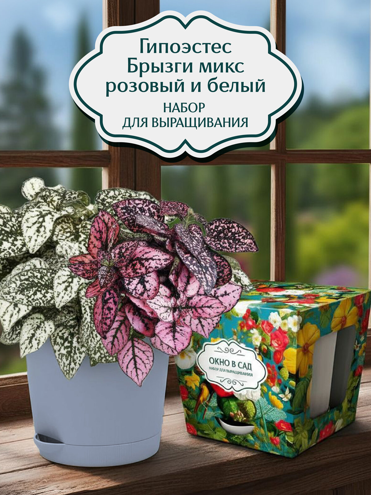 Набор для выращивания растений Гиппоэстес (Брызги микс розовый и белый) от бренда "Окно в сад", для детей и взрослых