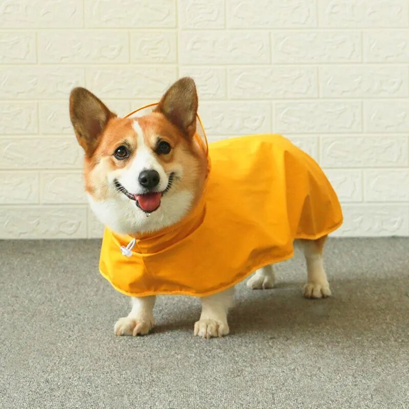 Дождевик для собак Corgi, водонепроницаемая одежда для улицы, размер 3XL, желтый — фото 1