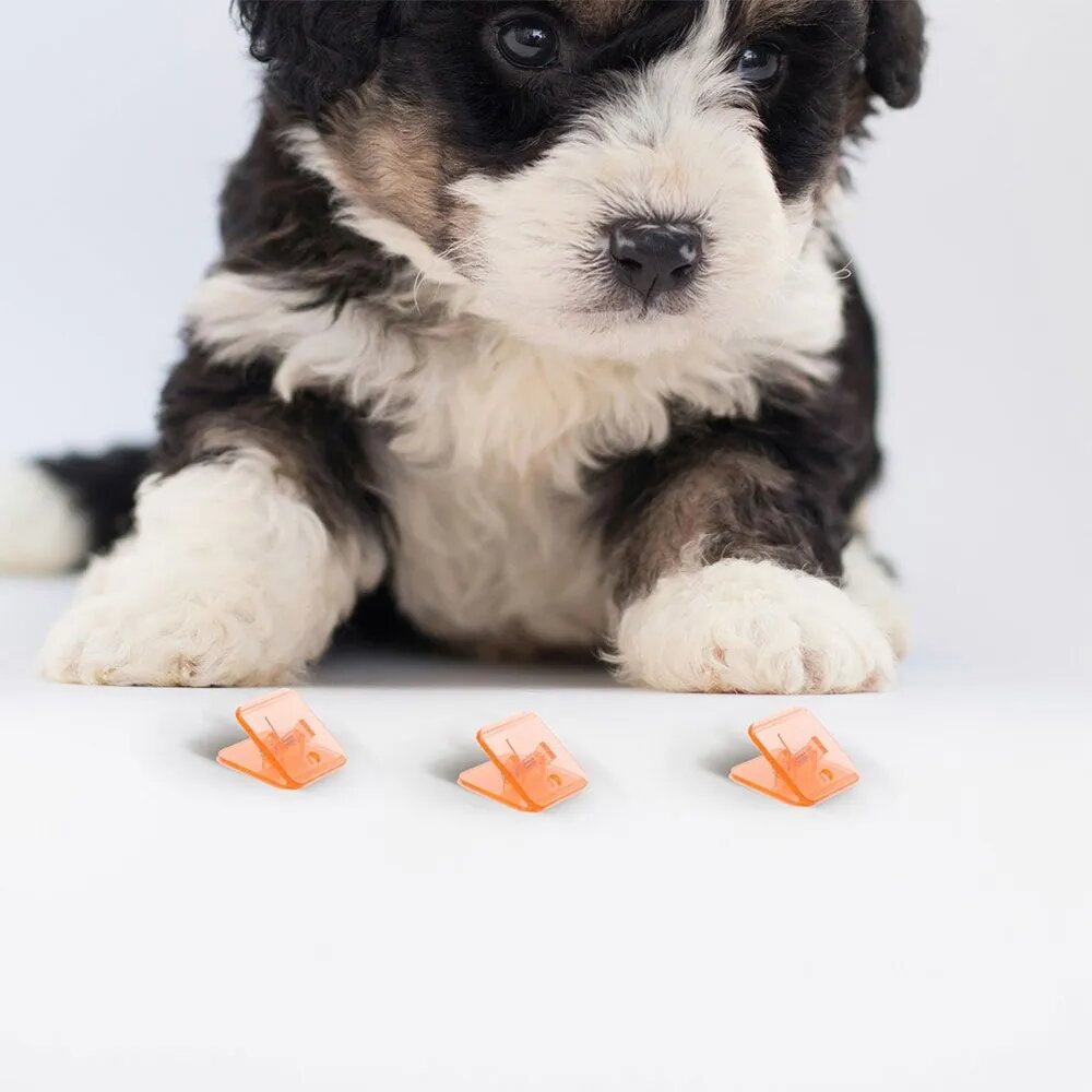 Прозрачный оранжевый держатель для собак, настенный фиксатор туалетных пеленок, набор из 8 шт