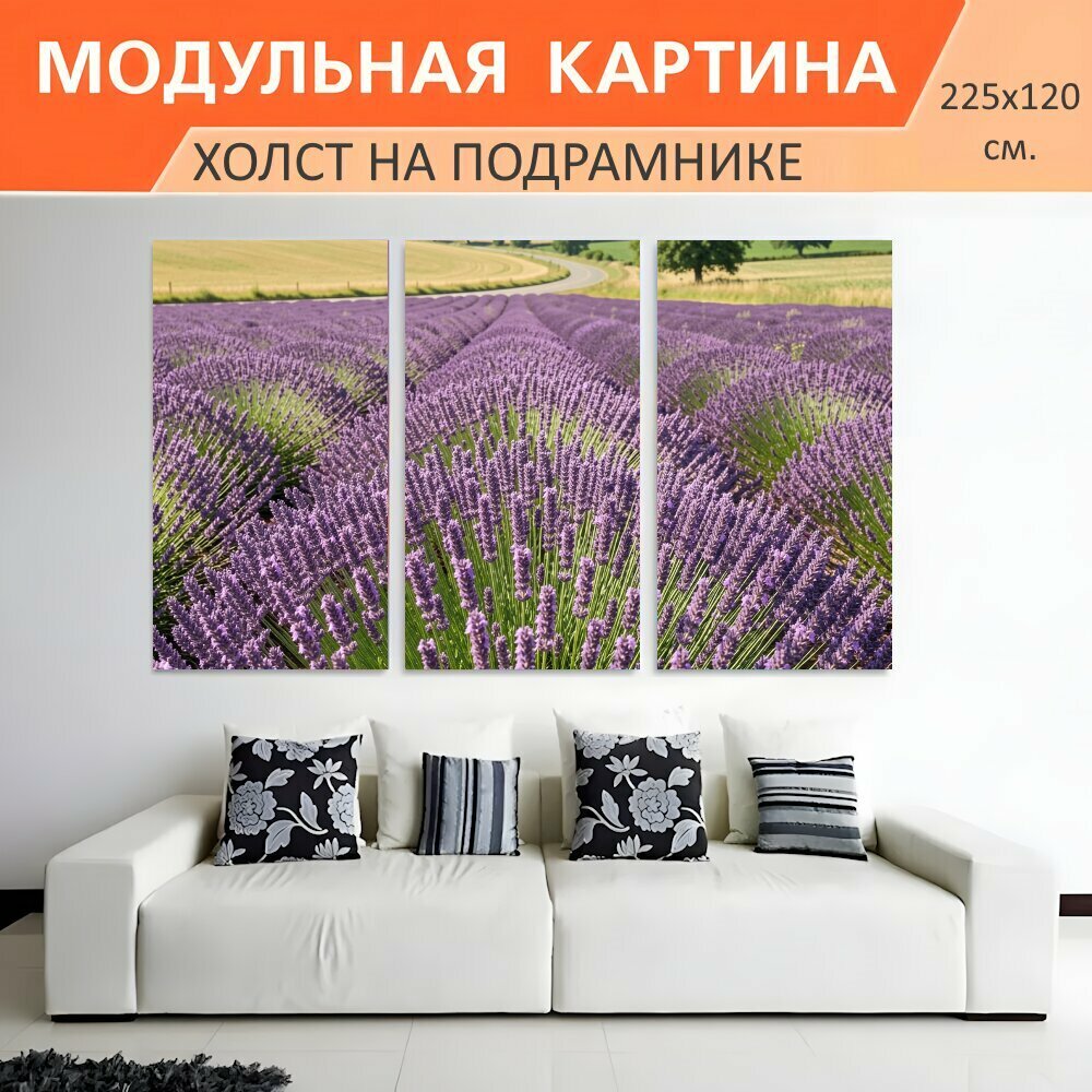 Модульная картина на холсте "Лавандовое поле среди холмов. Бескрайние сиреневые ряды цветущей лаванды на фоне извилистой дороги." триптих на подрамнике 225х120 см. для интерьера
