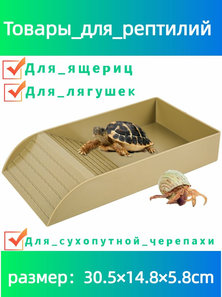 Кормушка-поилка для черепах и рептилий с антискользящим спуском, чаша для воды и еды, многоразовая, аксессуар для террариума
