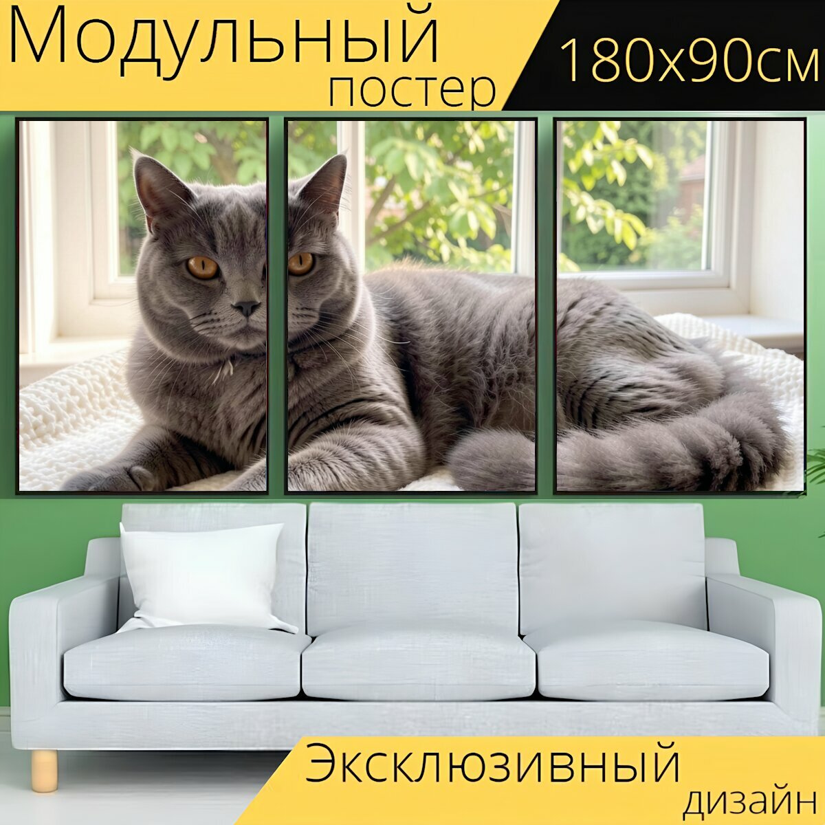 Модульный постер "Серый кот у окна. Пушистый домашний питомец с янтарными глазами лежит на светлом вязаном пледе у большого окна." 180 x 90 см. для интерьера на стену в тубусе