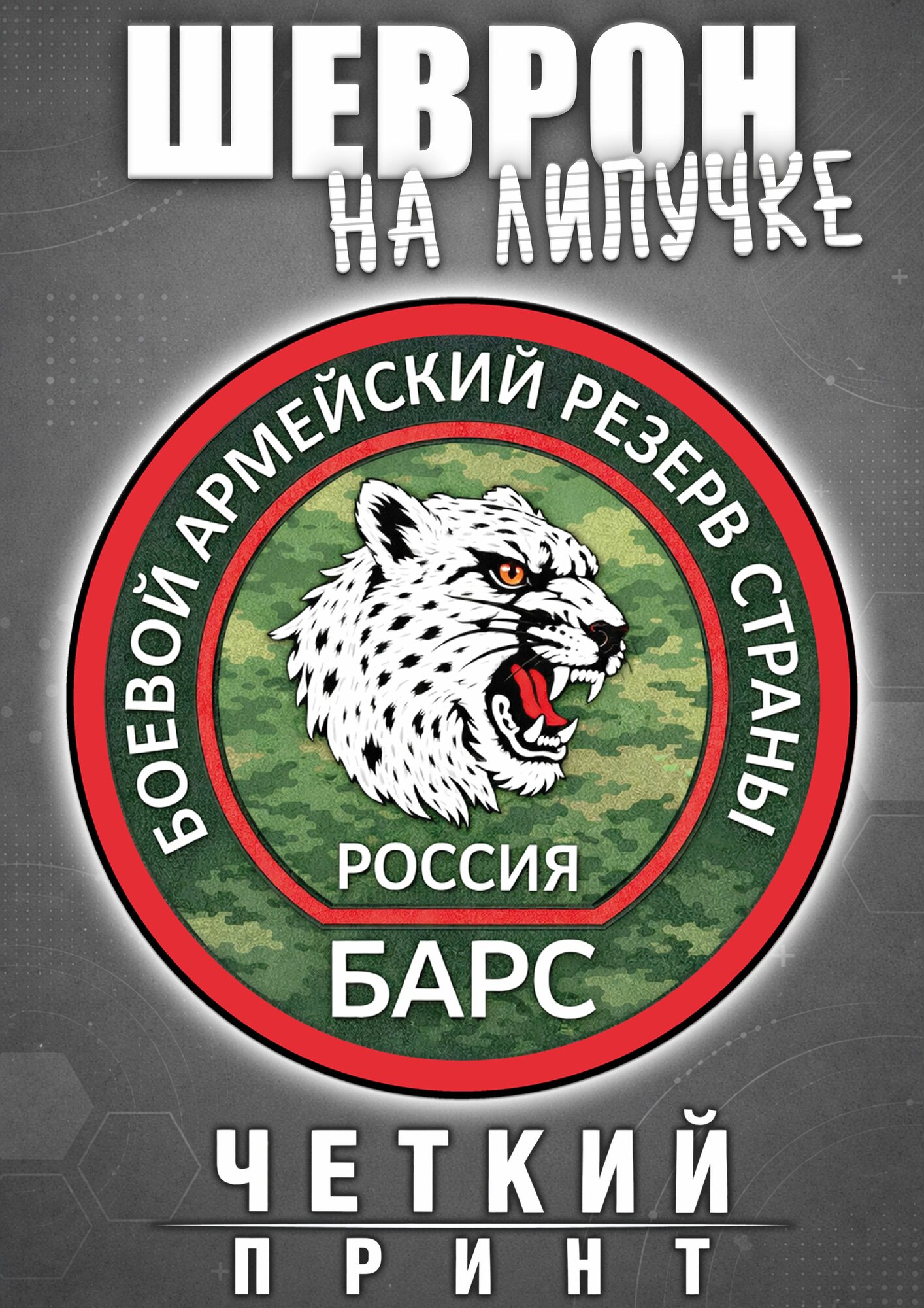 Шеврон Барс Боевой армейский резерв страны