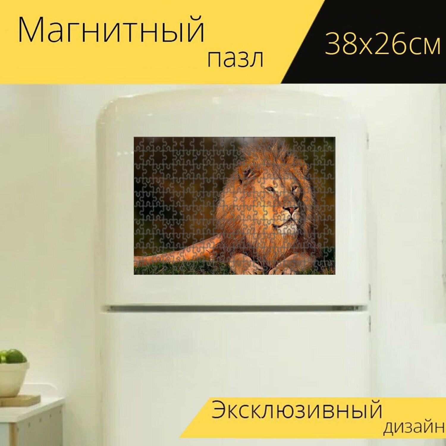 Магнитный пазл "Лев, король лев, лесной король лев" для интерьера, 38х26 см.